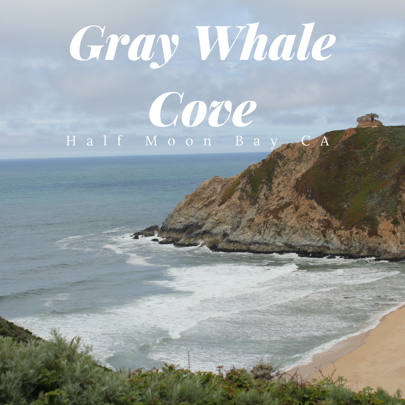 Gray-Whale-Cove – Magnets From Everywhere