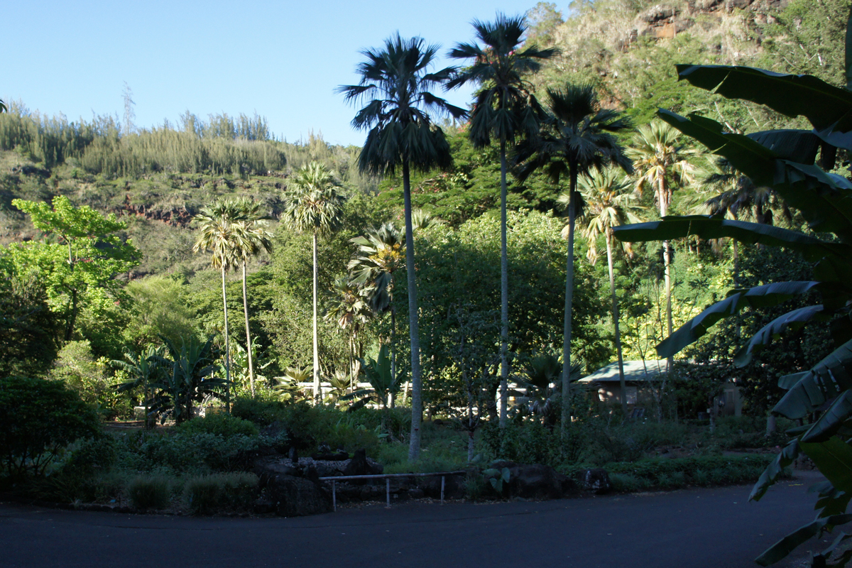 Hikes and Rambles: Waimea Falls (North Shore, Oahu) – Magnets From ...